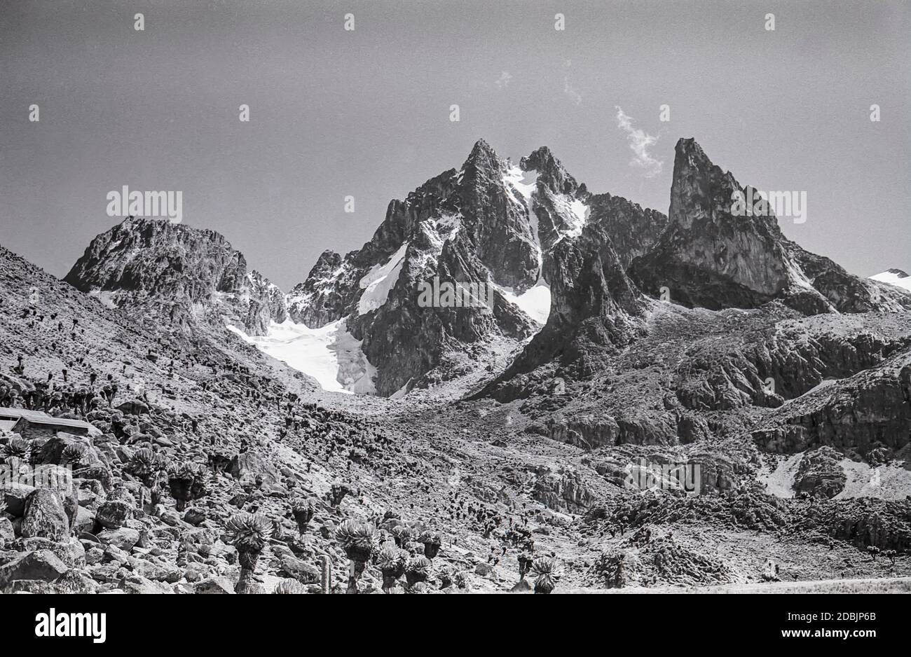 Kenya. This is Mount Kenya from the Teleki Valley as it was in 1976/77 ...