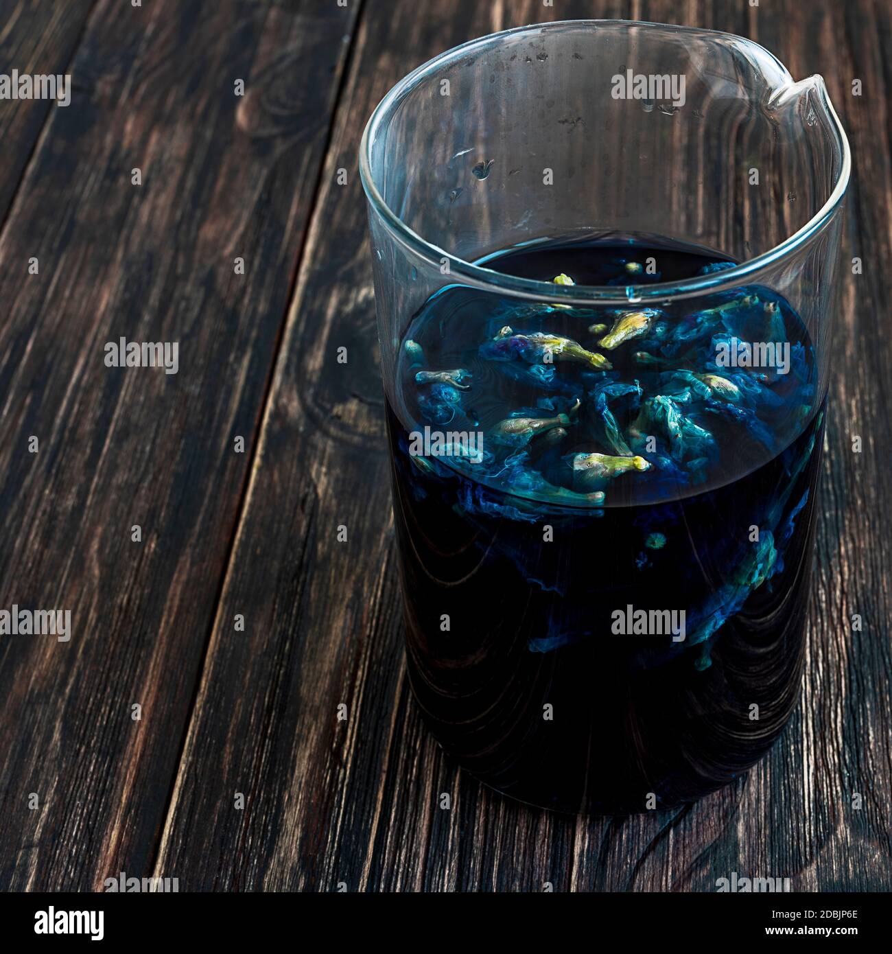 anchan flower herbal blue tea Clitoria Ternatea in a glass beaker Stock ...