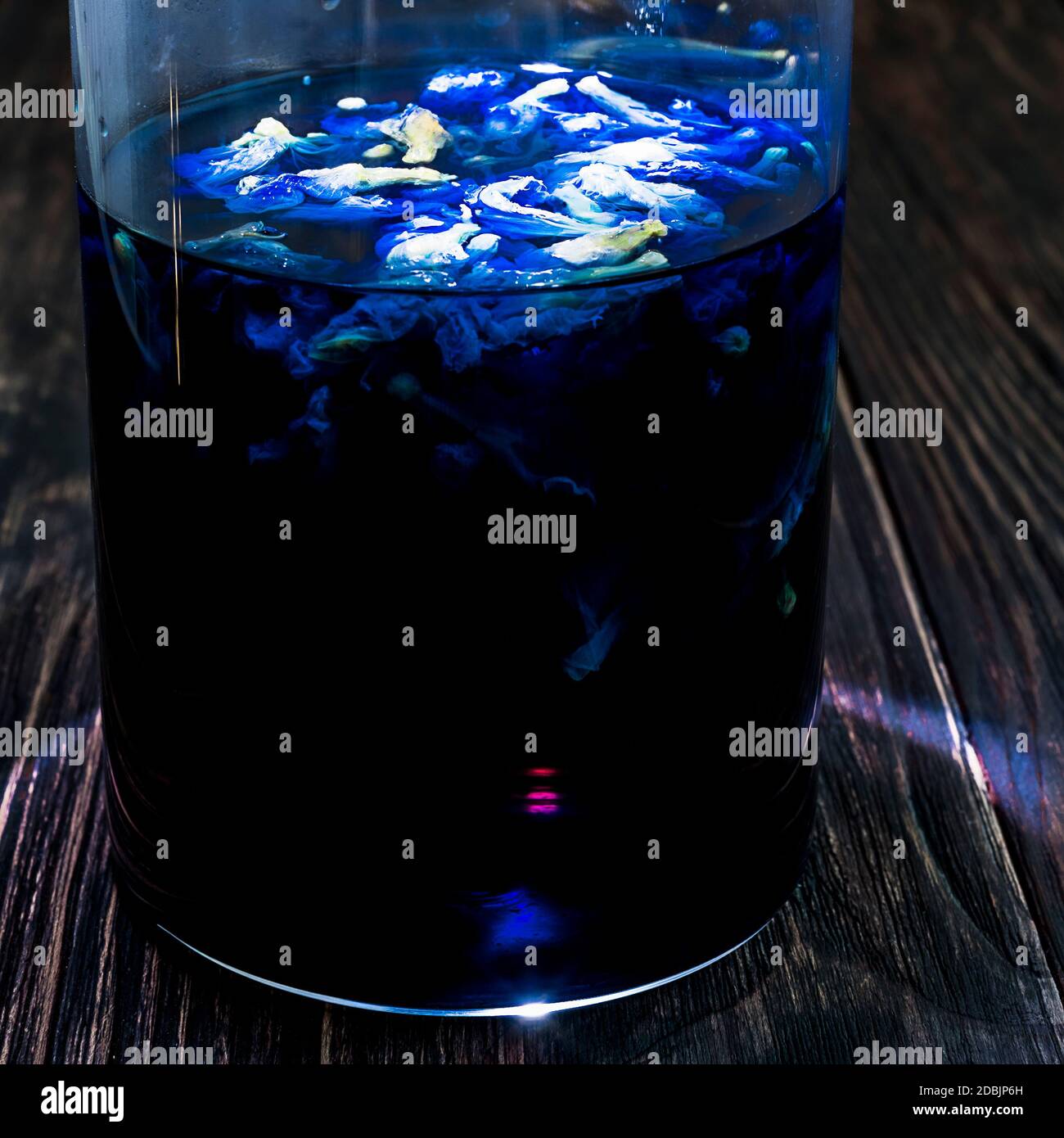 close-up of anchan flower herbal blue tea Clitoria Ternatea in a glass ...