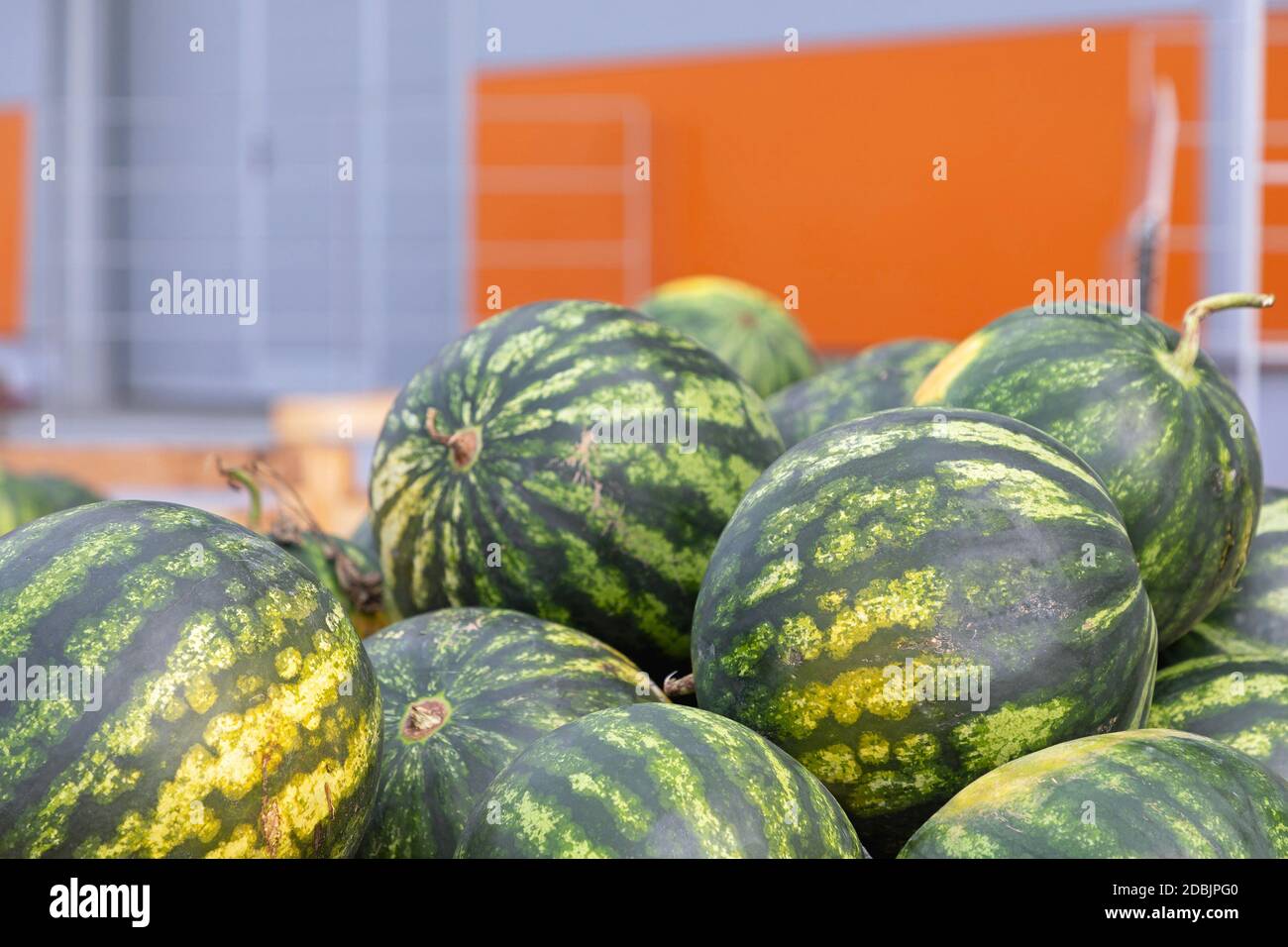 Watermelons watermelon crates crate hi-res stock photography and images ...