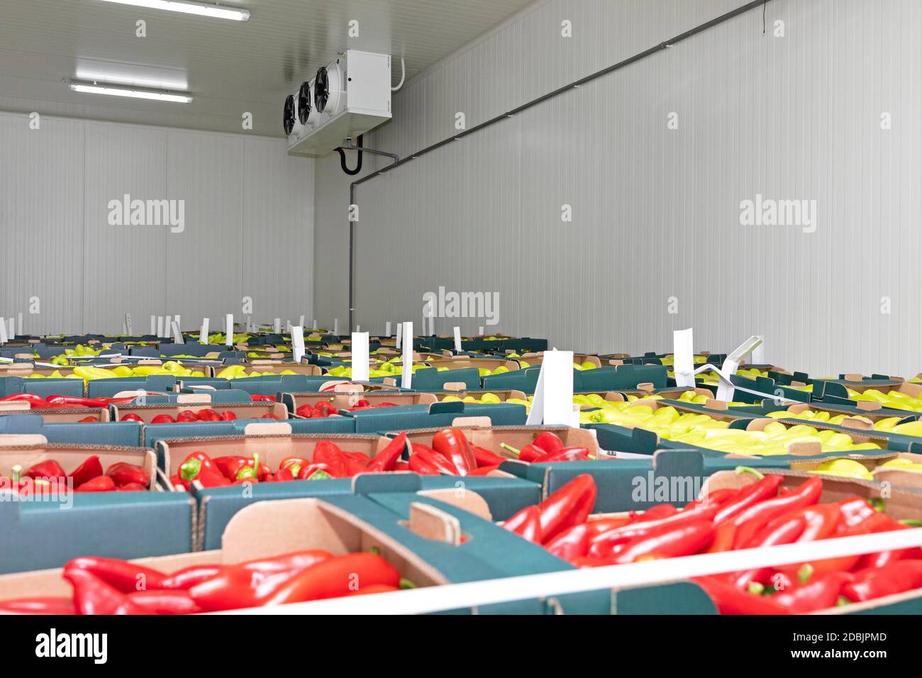 Peppers Vegetables in Boxes in Distribution Warehouse Stock Photo - Alamy