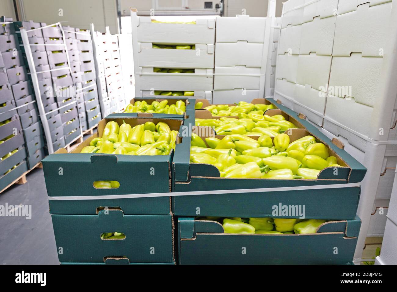 Green Peppers in Boxes Storage Warehouse Stock Photo - Alamy