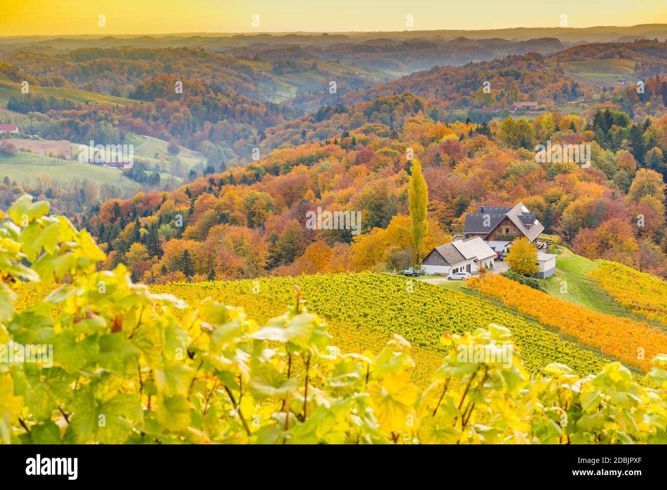 Autumn landscape with South Styria vineyards,known as Austrian Tuscany ...