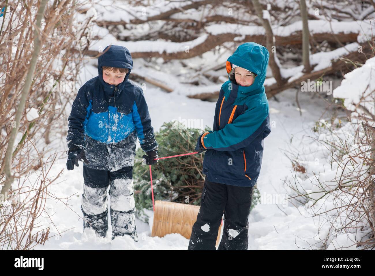Ten brothers hi-res stock photography and images - Alamy