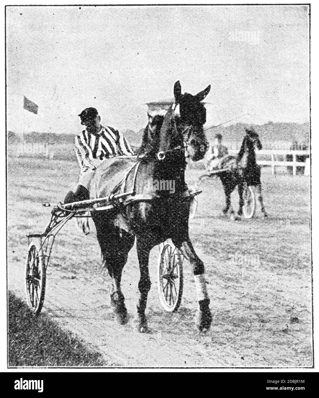 Ancient horse harness Black and White Stock Photos & Images - Alamy