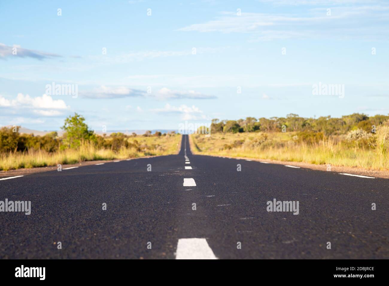 The straight asphalt road with meadows on both sides Stock Photo - Alamy