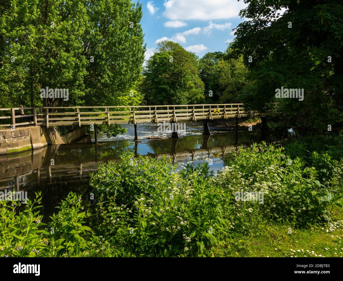 Weir in the River Derwent at Darley Abbey near Derby England UK Stock ...