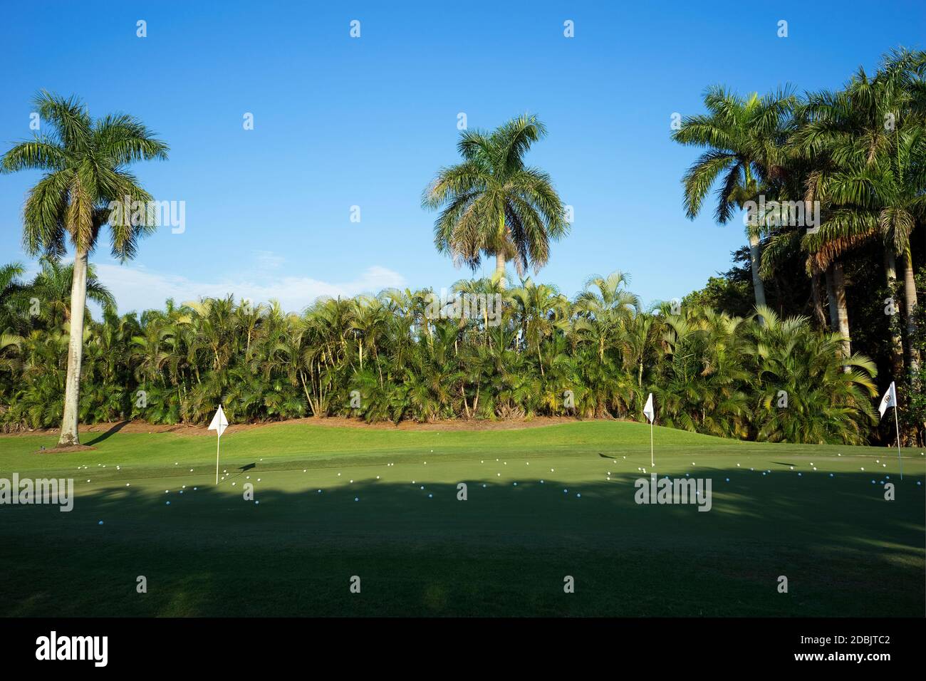 Golf course with palm trees, Naples, Florida, USA Stock Photo - Alamy