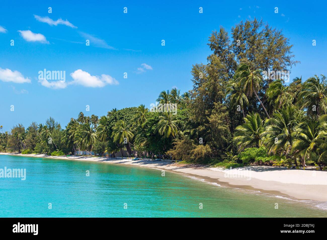 Tropical beach with palm trees on Koh Samui island, Thailand in a ...