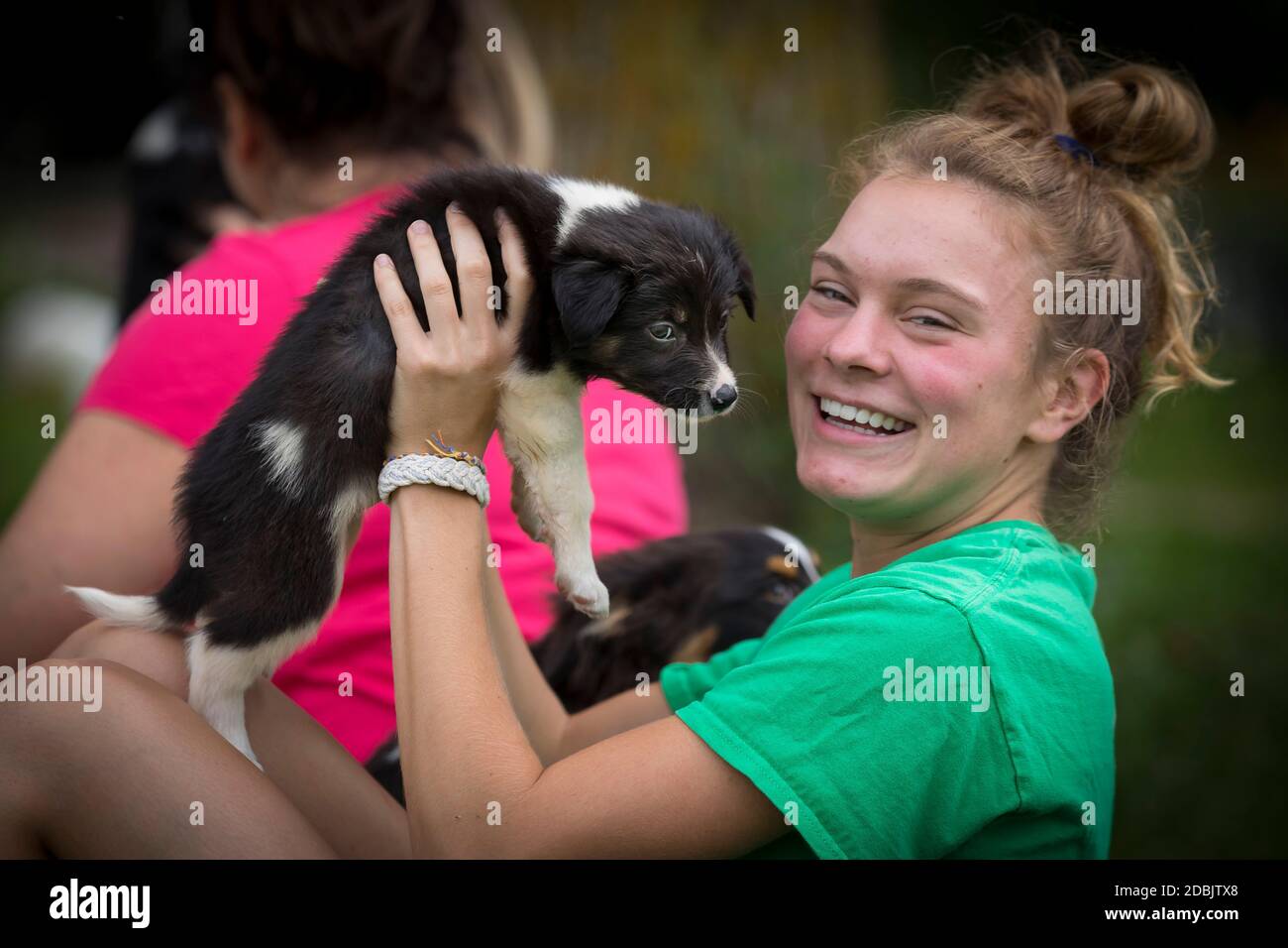 A teen age girl plays with a puppy on a farm in St Anne, Wisconsin ...