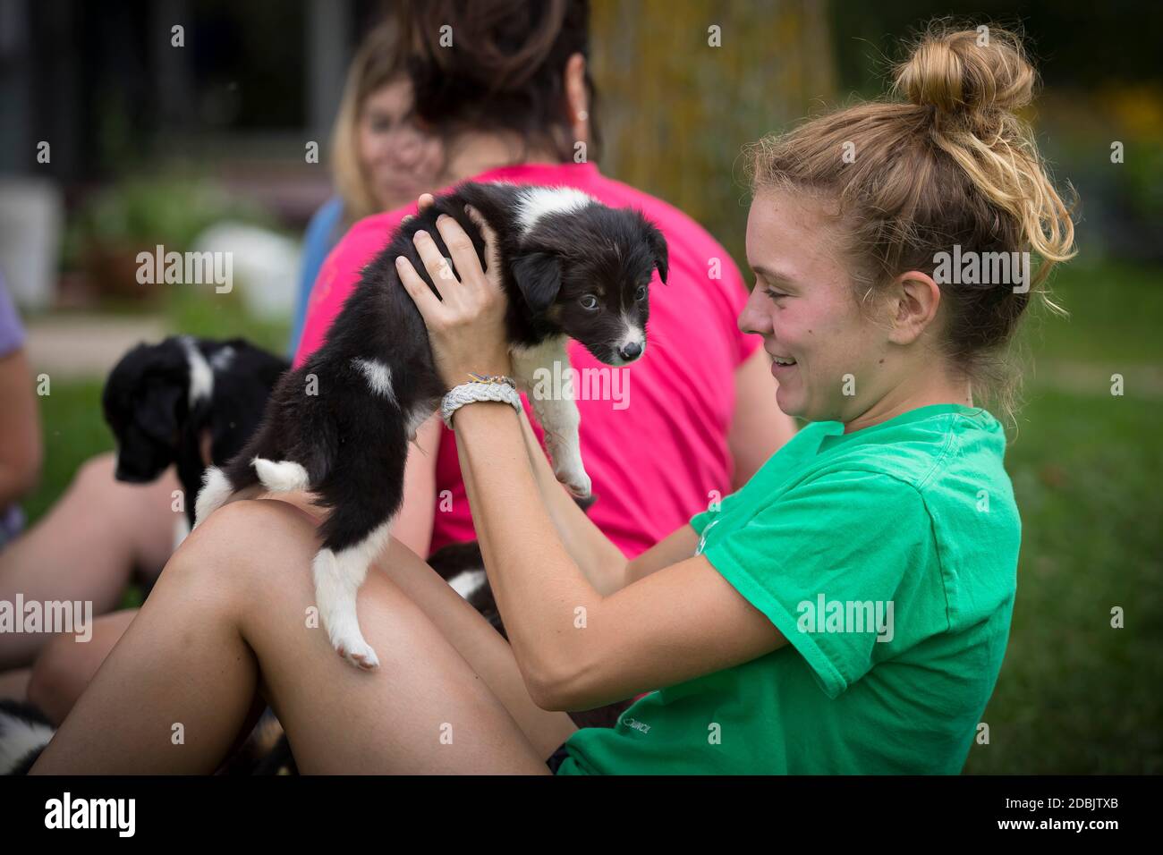 A teen age girl plays with a puppy on a farm in St Anne, Wisconsin ...