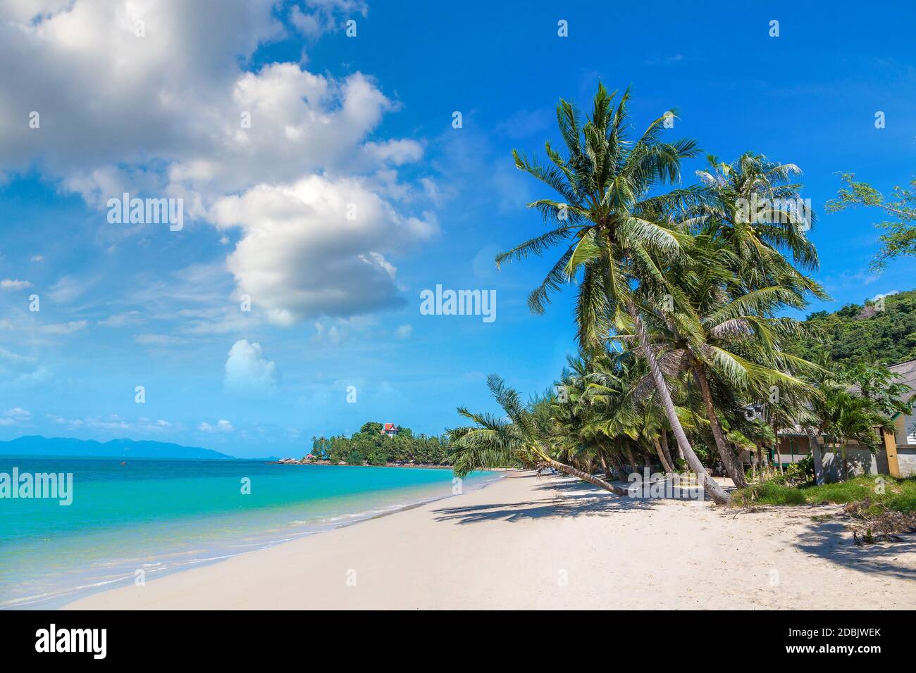 Tropical beach with palm trees on Koh Samui island, Thailand in a ...