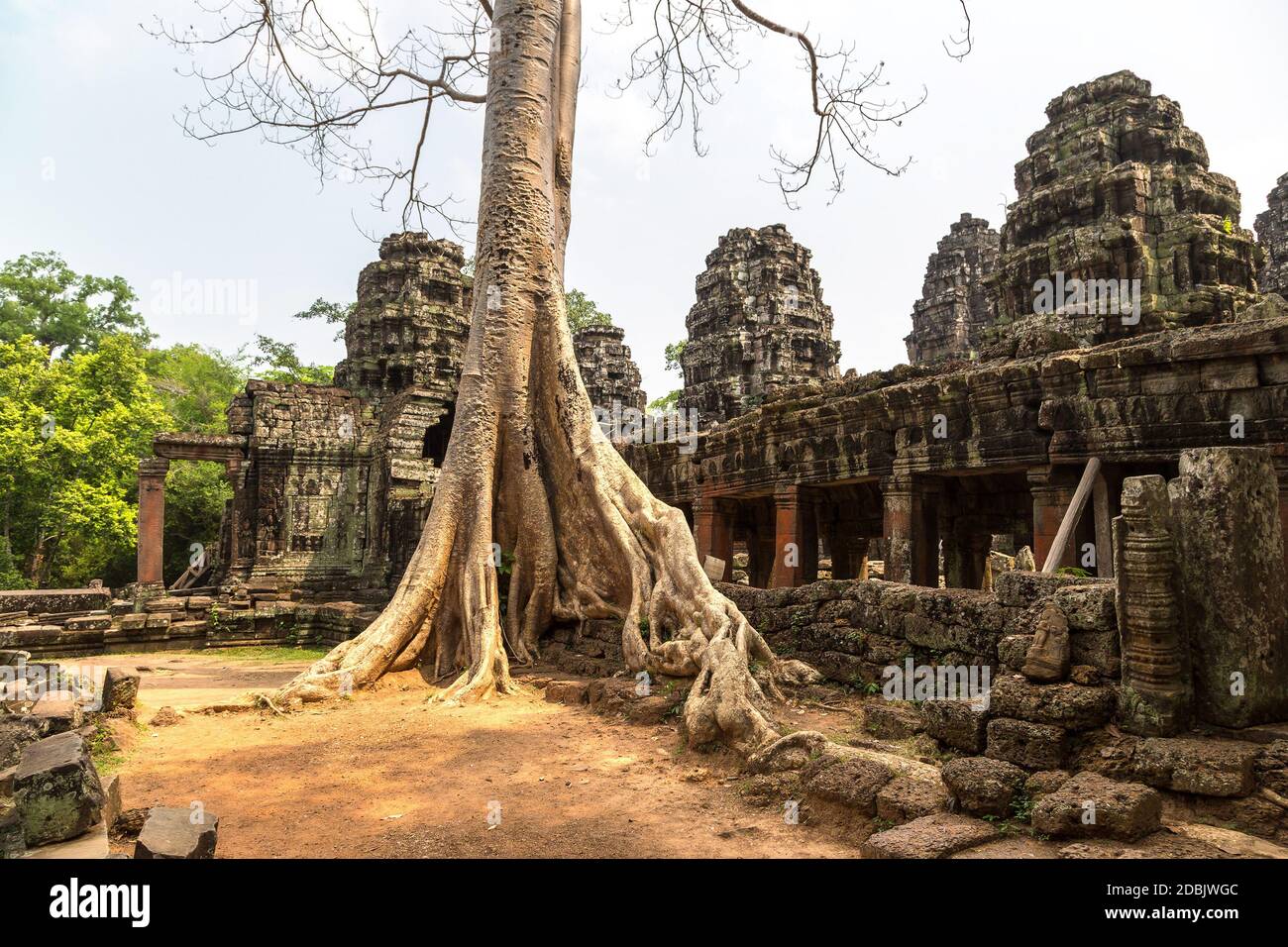 Banyan tree roots in Banteay Kdei temple is Khmer ancient temple in ...