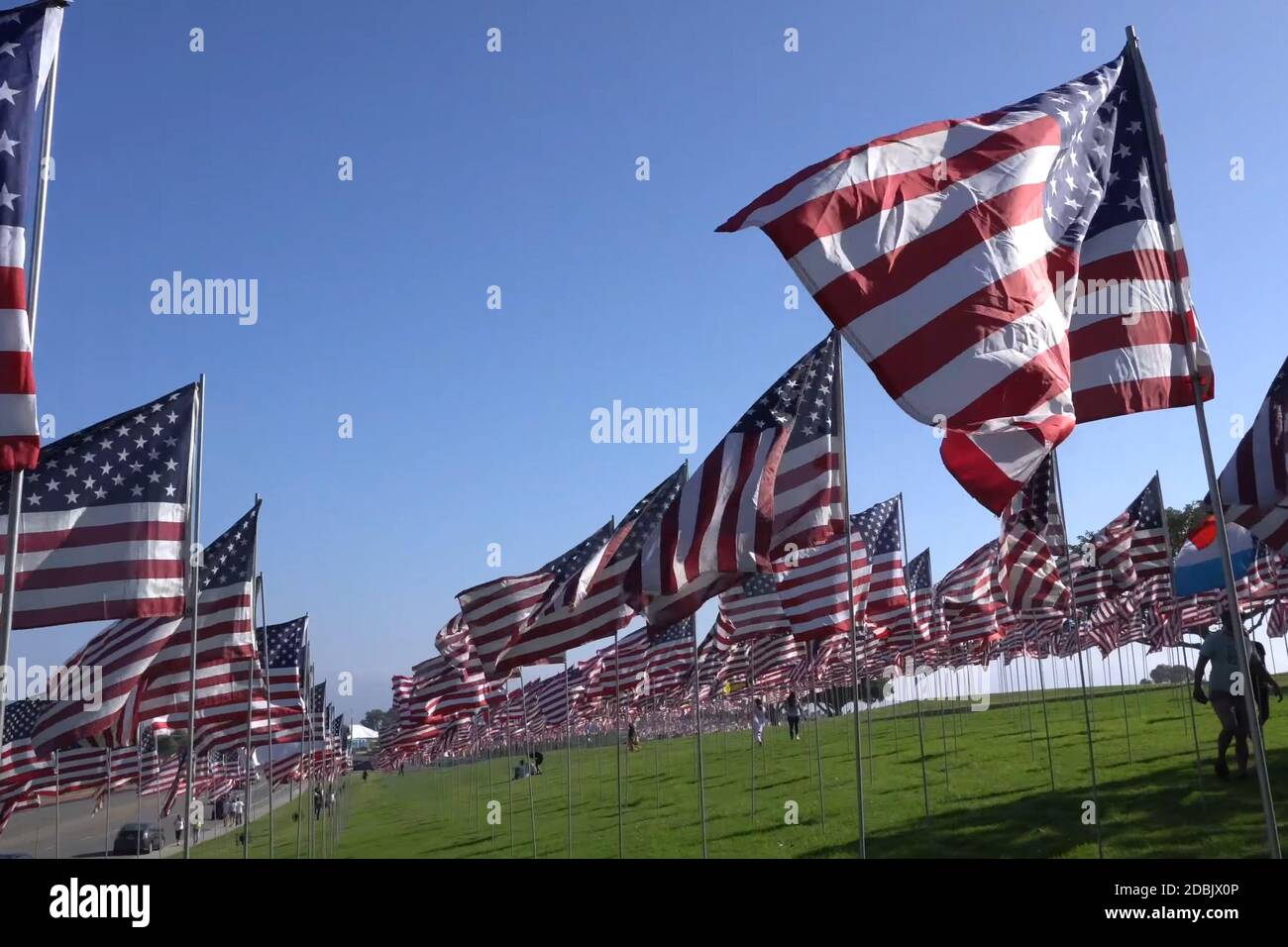 Tiny American Flags High Resolution Stock Photography and Images - Alamy