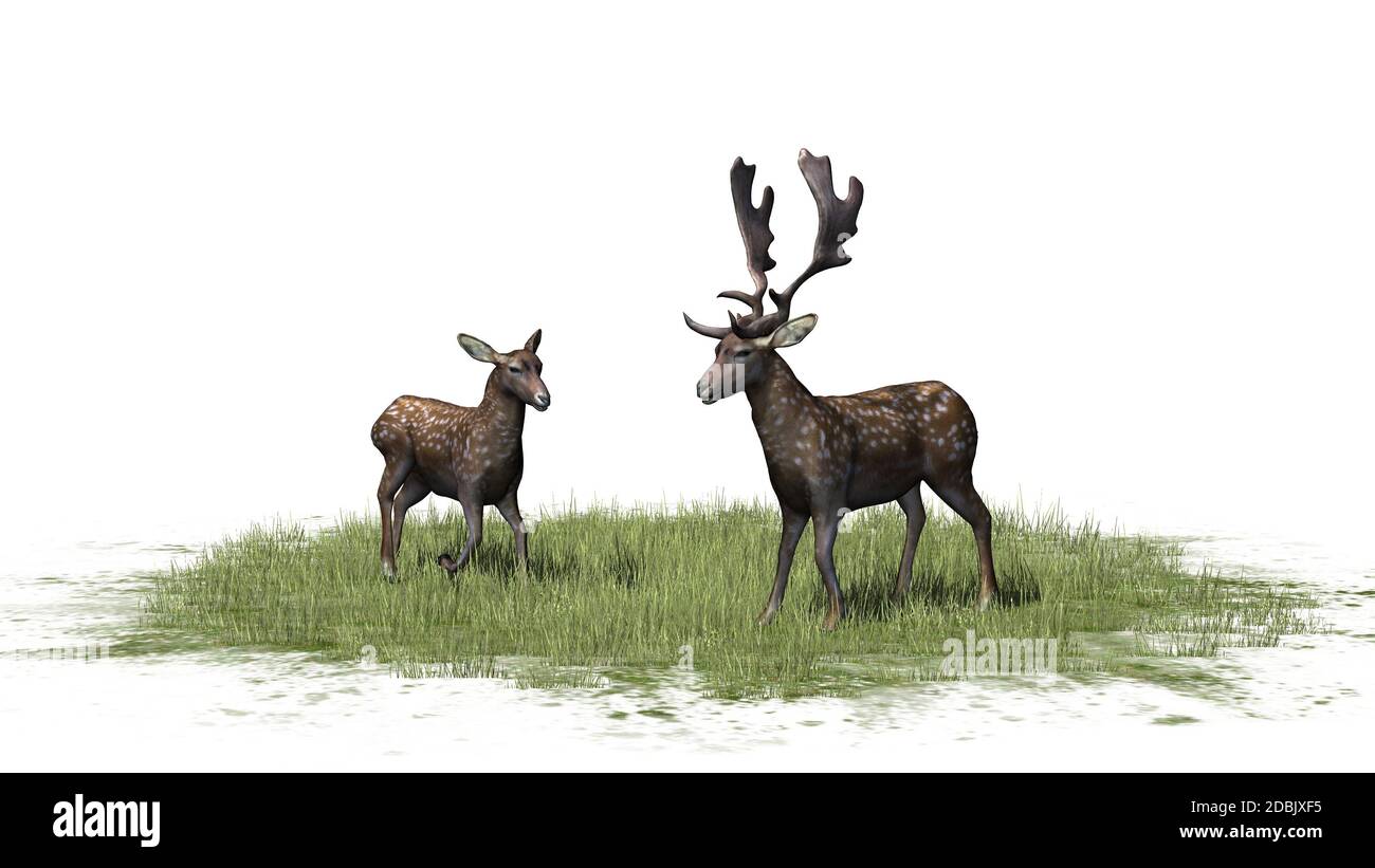 Christmas deer on background Cut Out Stock Images & Pictures - Alamy