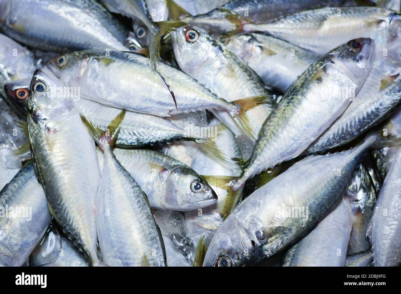 Harbor port produce retail hi-res stock photography and images - Alamy