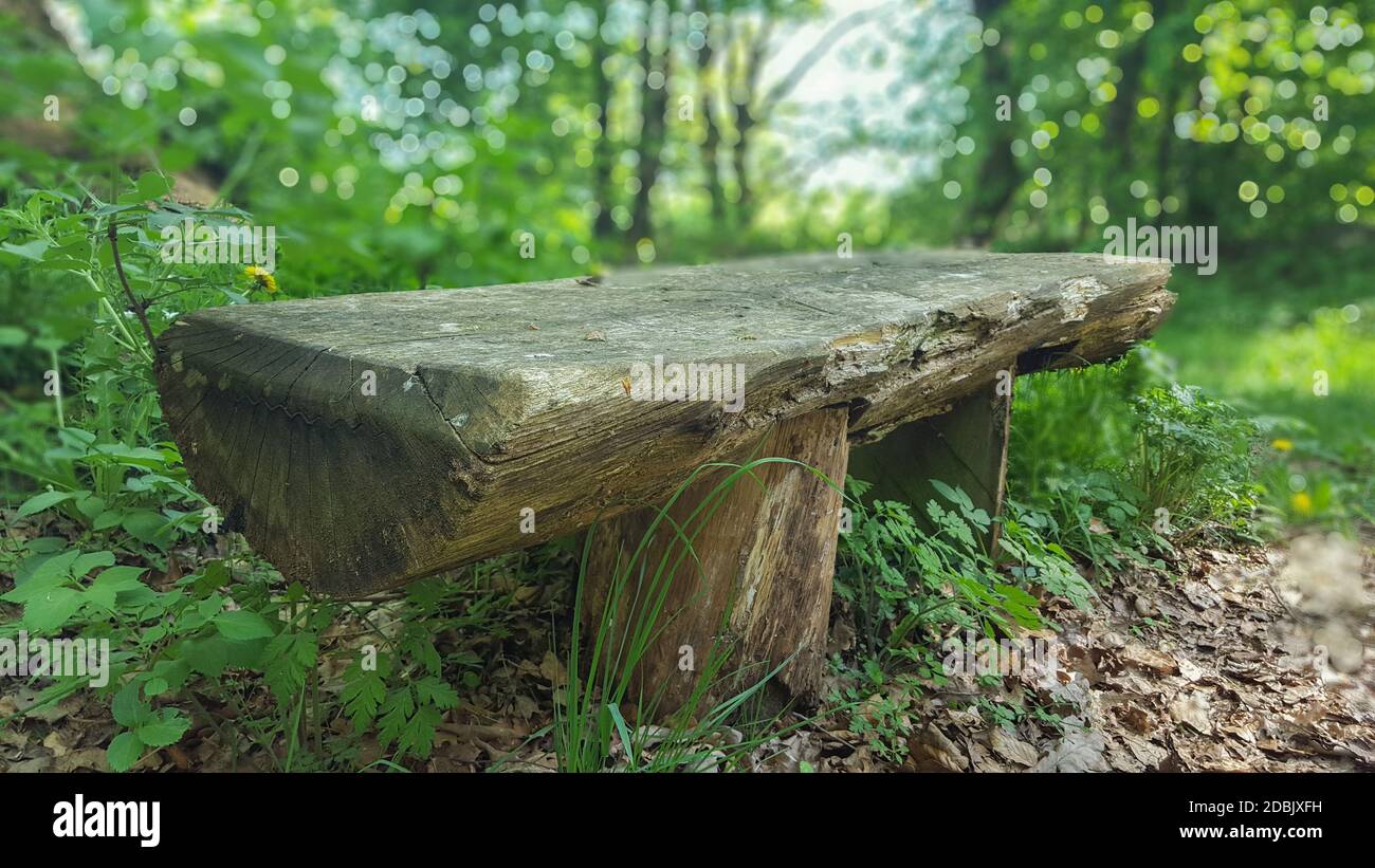 Characteristic wooden bench in the forest Stock Photo - Alamy