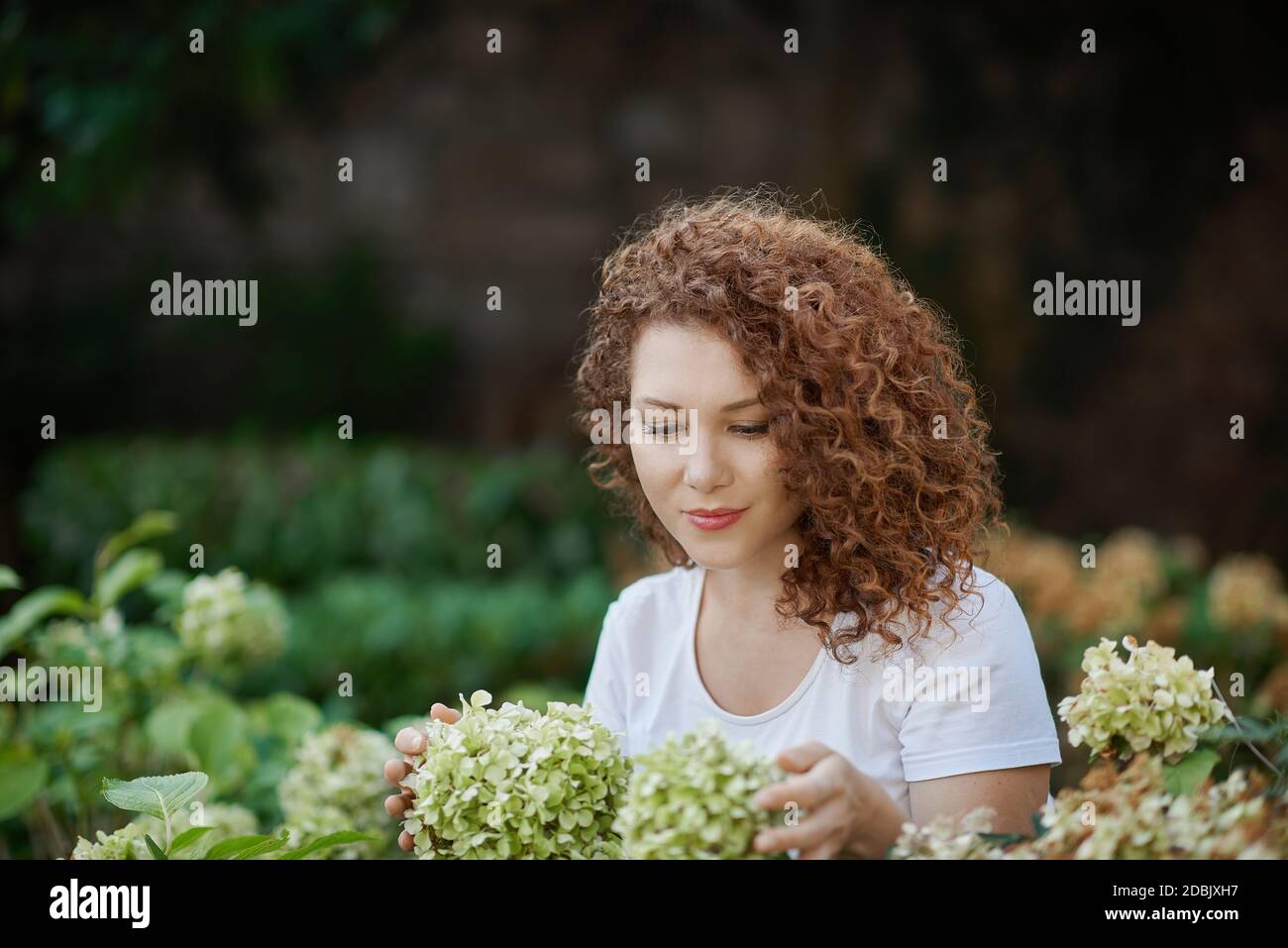 Young woman setting up and arranging greenery on her terrace Stock ...