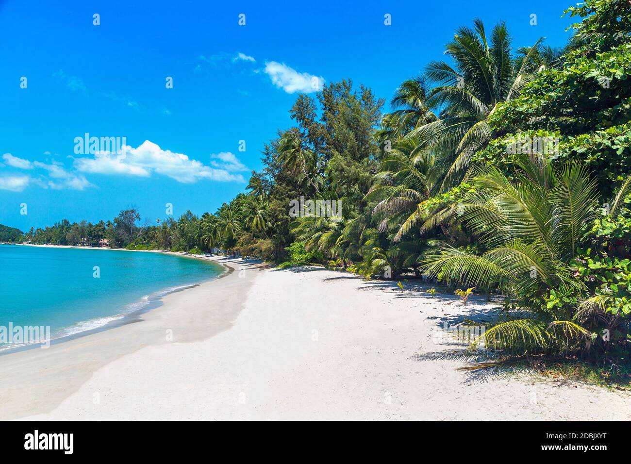 Tropical beach with palm trees on Koh Samui island, Thailand in a ...