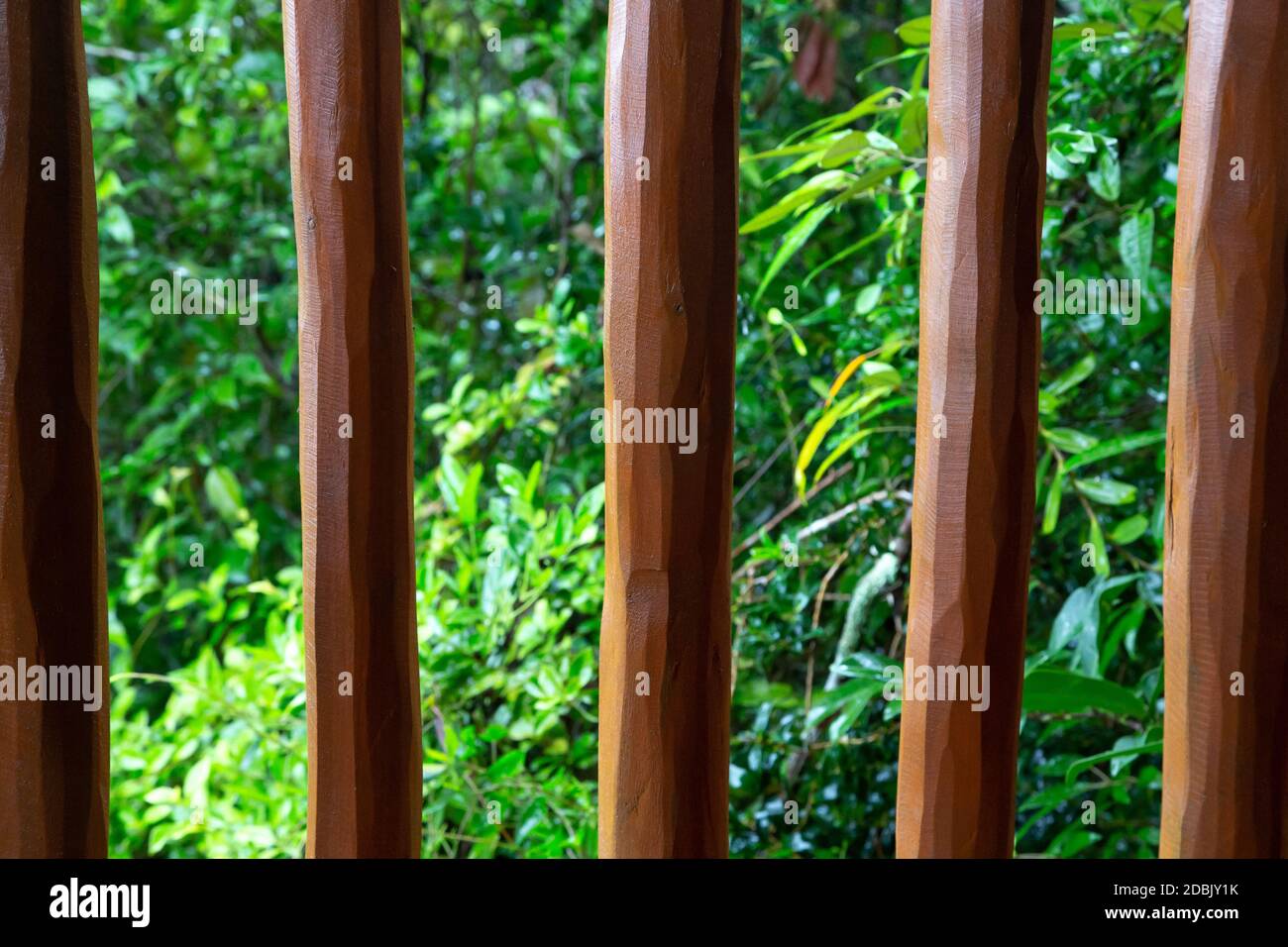 Wooden mesh hi-res stock photography and images - Alamy
