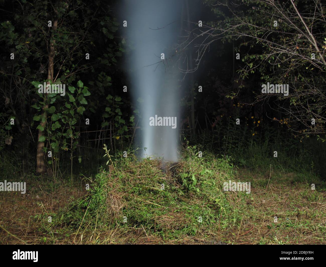 Outdoor fire of garden waste tree branches and clippings in a garden at ...