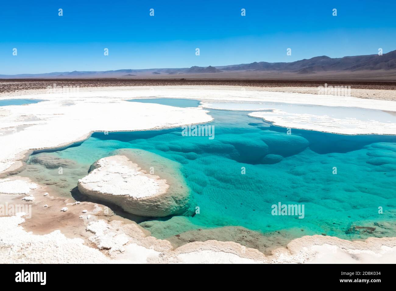 Hidden lagoon Baltinache (Lagunas escondidas Baltinache) Atacama Desert ...