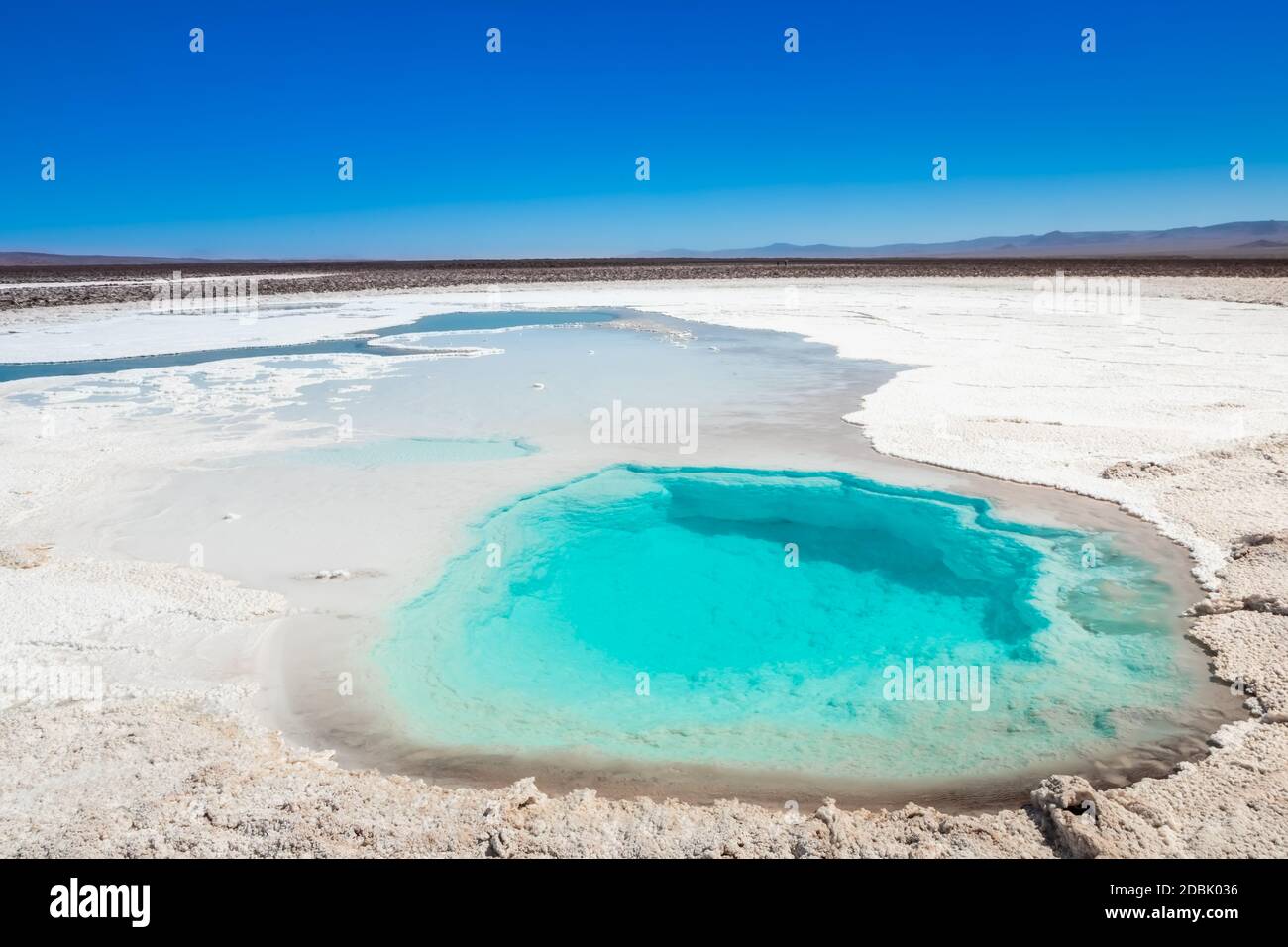 Hidden lagoon Baltinache (Lagunas escondidas Baltinache) Atacama Desert ...