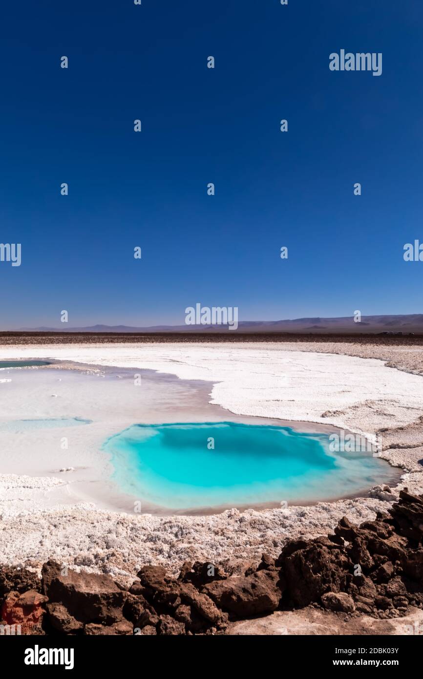 Hidden lagoon Baltinache (Lagunas escondidas Baltinache) Atacama Desert ...