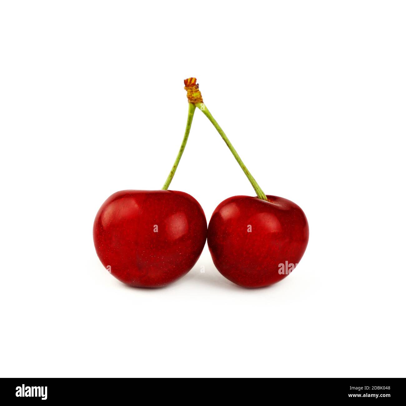 Close up two fresh red ripe sweet cherry berries isolated on white ...
