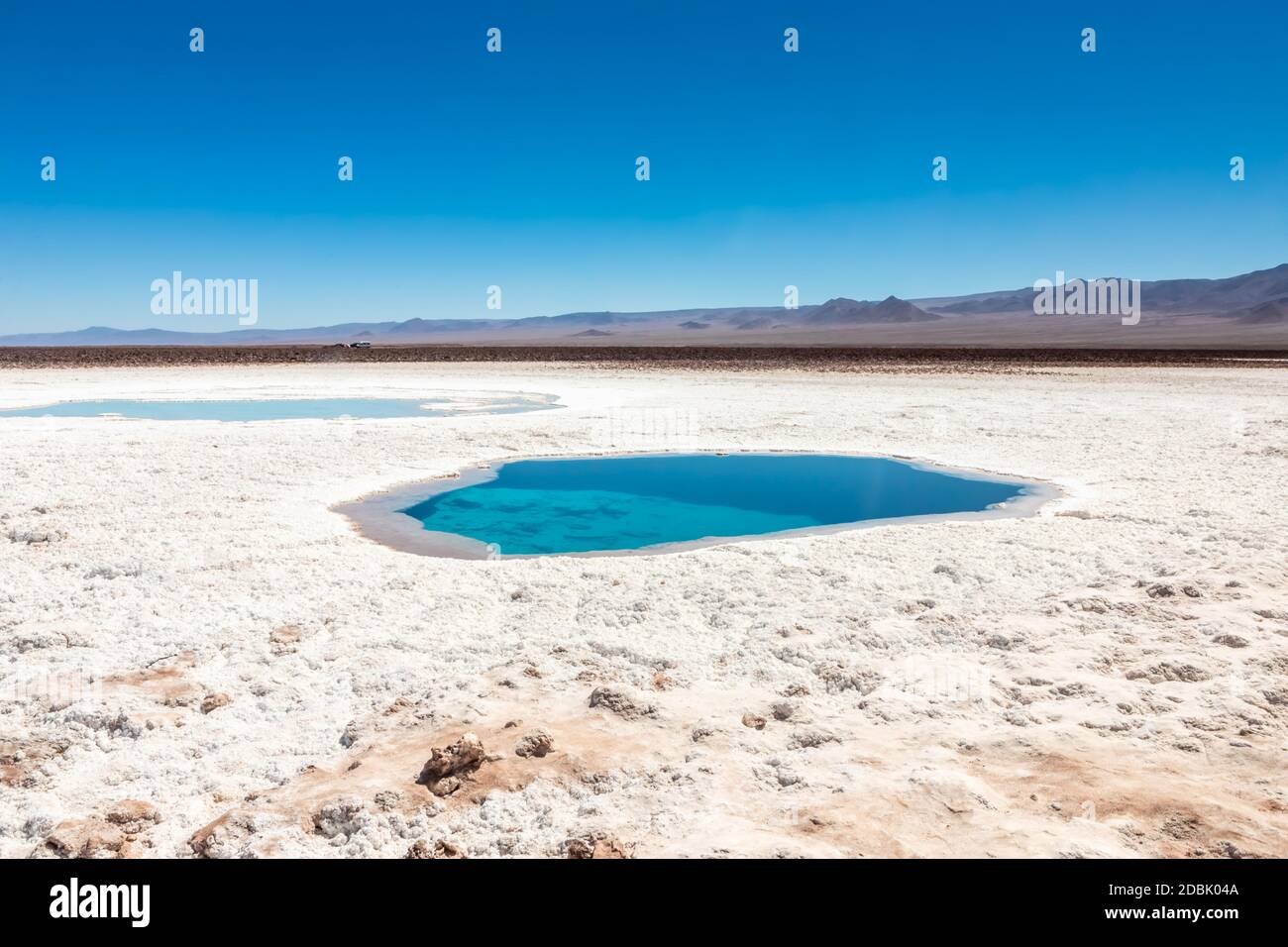 Hidden lagoon Baltinache (Lagunas escondidas Baltinache) Atacama Desert ...