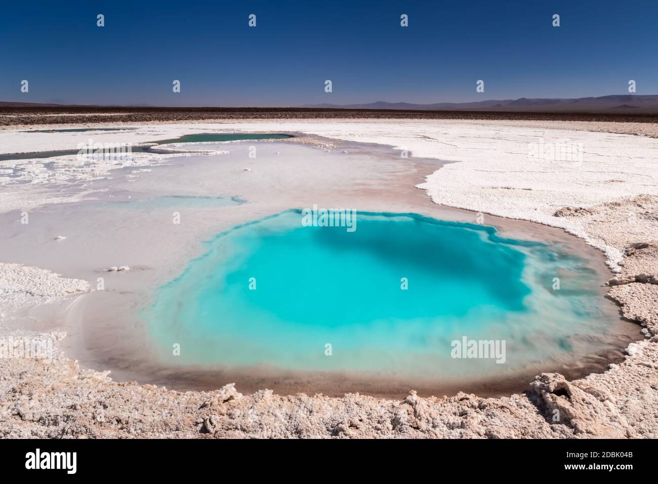 Hidden lagoon Baltinache (Lagunas escondidas Baltinache) Atacama Desert ...