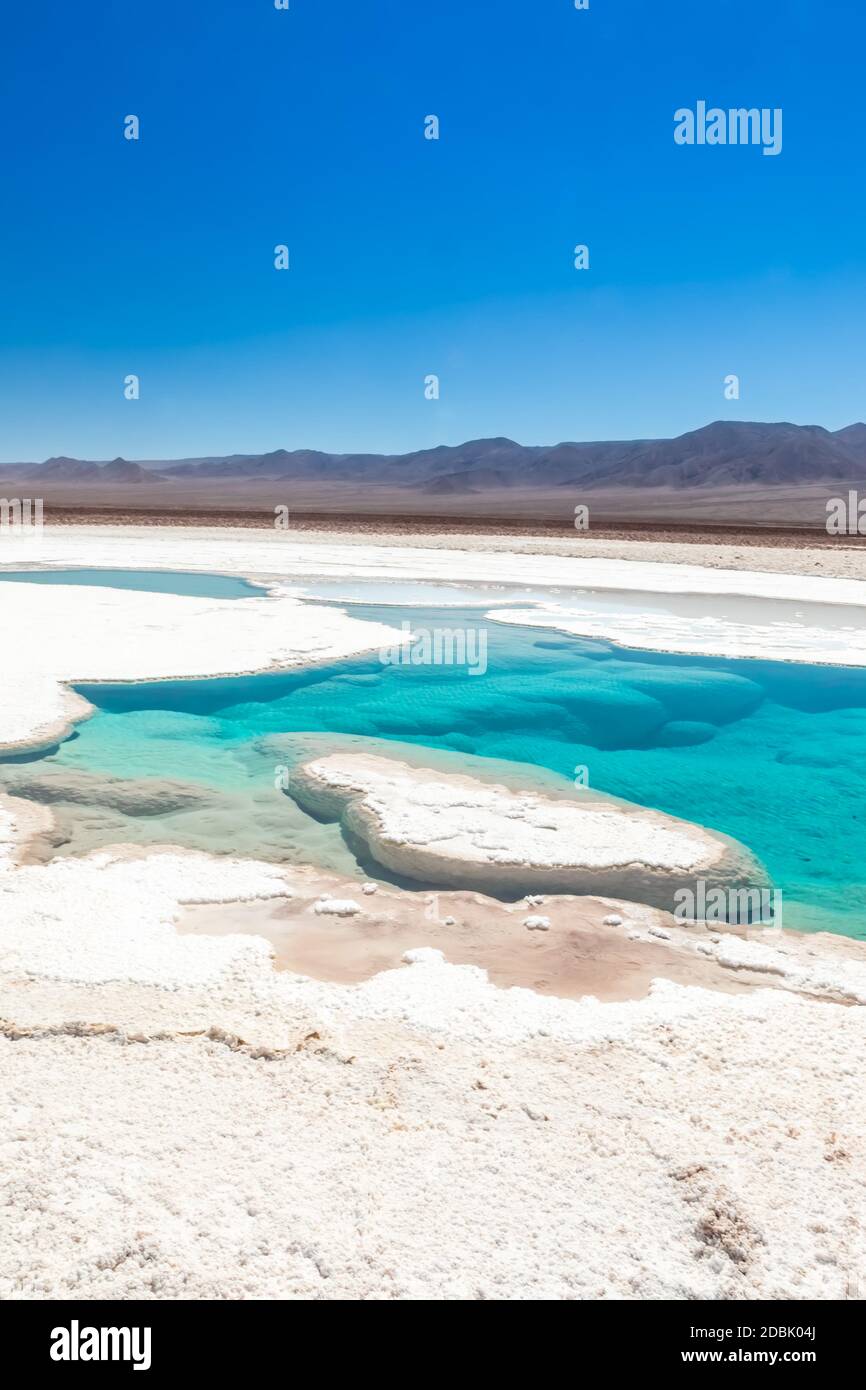 Hidden lagoon Baltinache (Lagunas escondidas Baltinache) Atacama Desert ...
