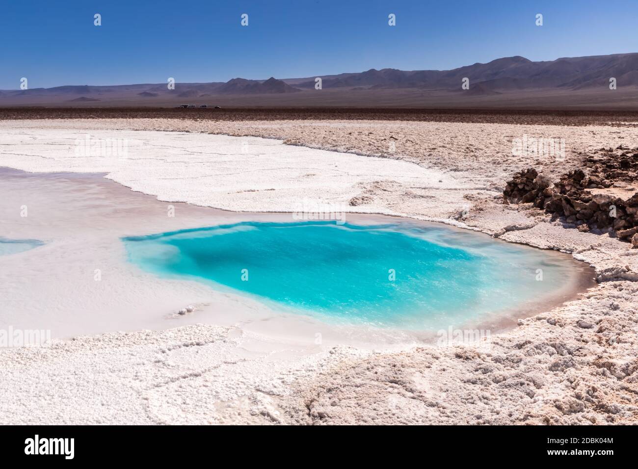 Hidden lagoon Baltinache (Lagunas escondidas Baltinache) Atacama Desert ...