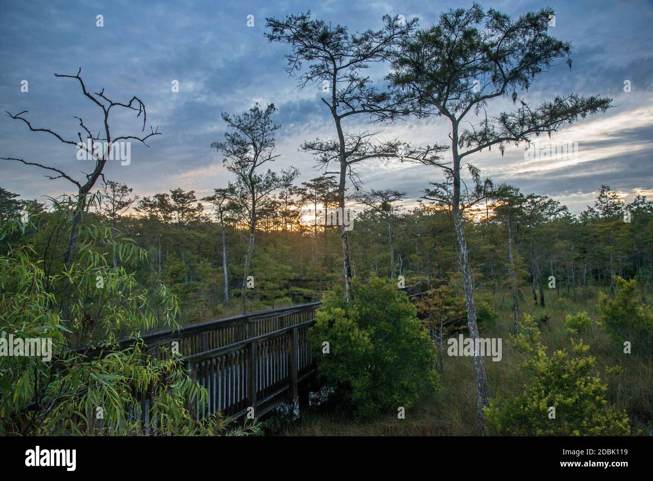 Kirby Storter Boardwalk at sunset, Florida, USA Stock Photo - Alamy
