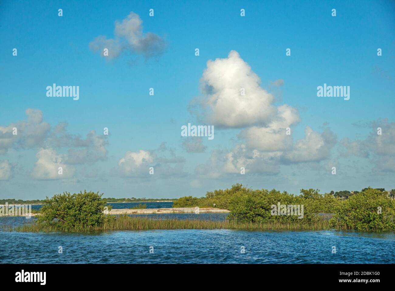 Island at Matanzas Inlet, Matanzas River, Florida, USA Stock Photo - Alamy