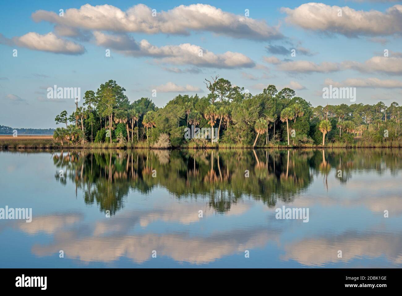 River landscape, Florida, USA Stock Photo - Alamy