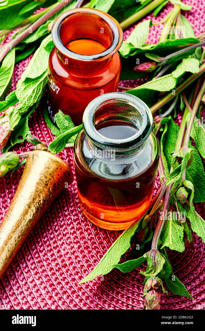 Sage leaves or salvia in herbal medicine.Medicinal herbs Stock Photo ...