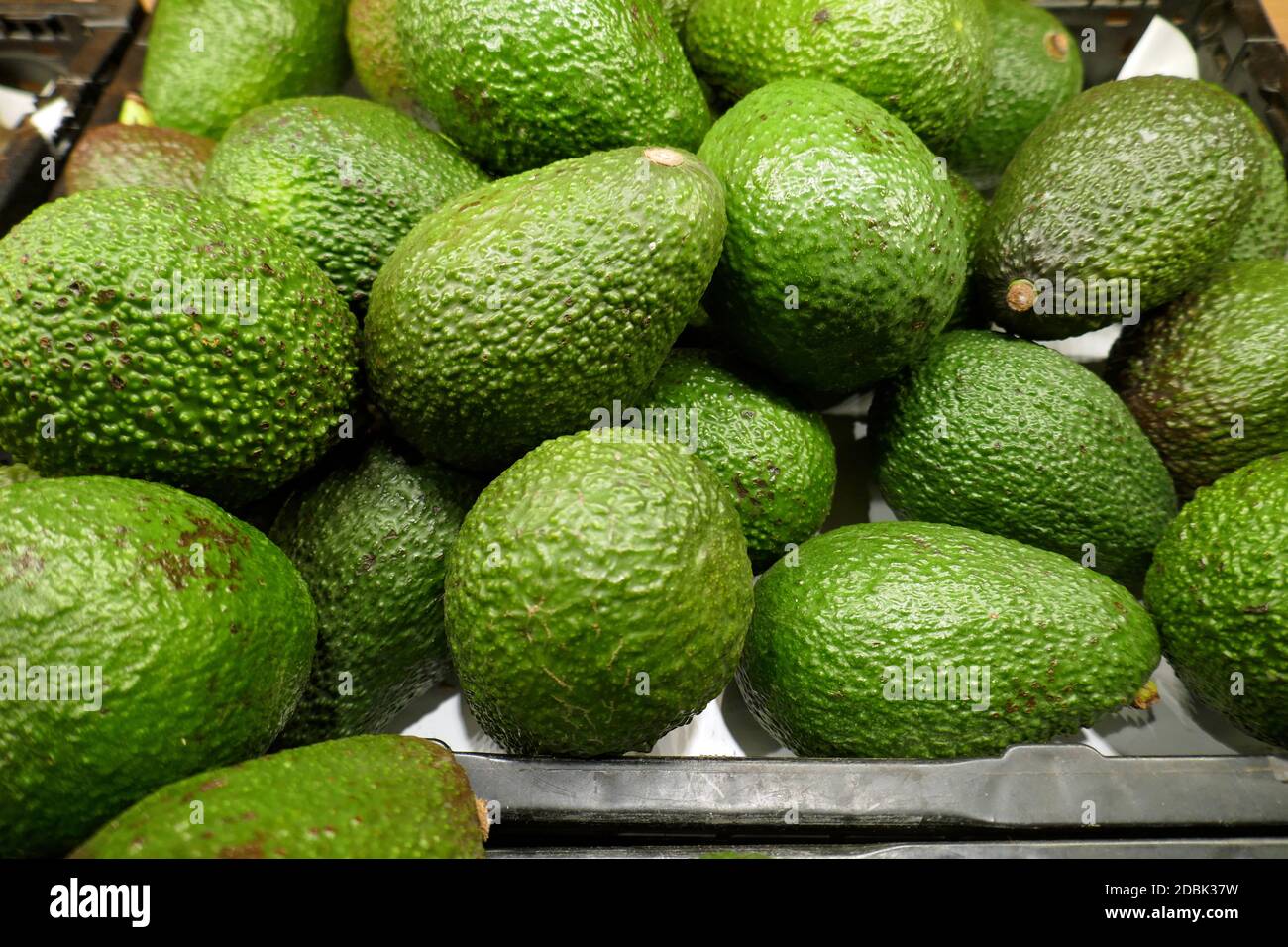 Reed avocados hi-res stock photography and images - Alamy