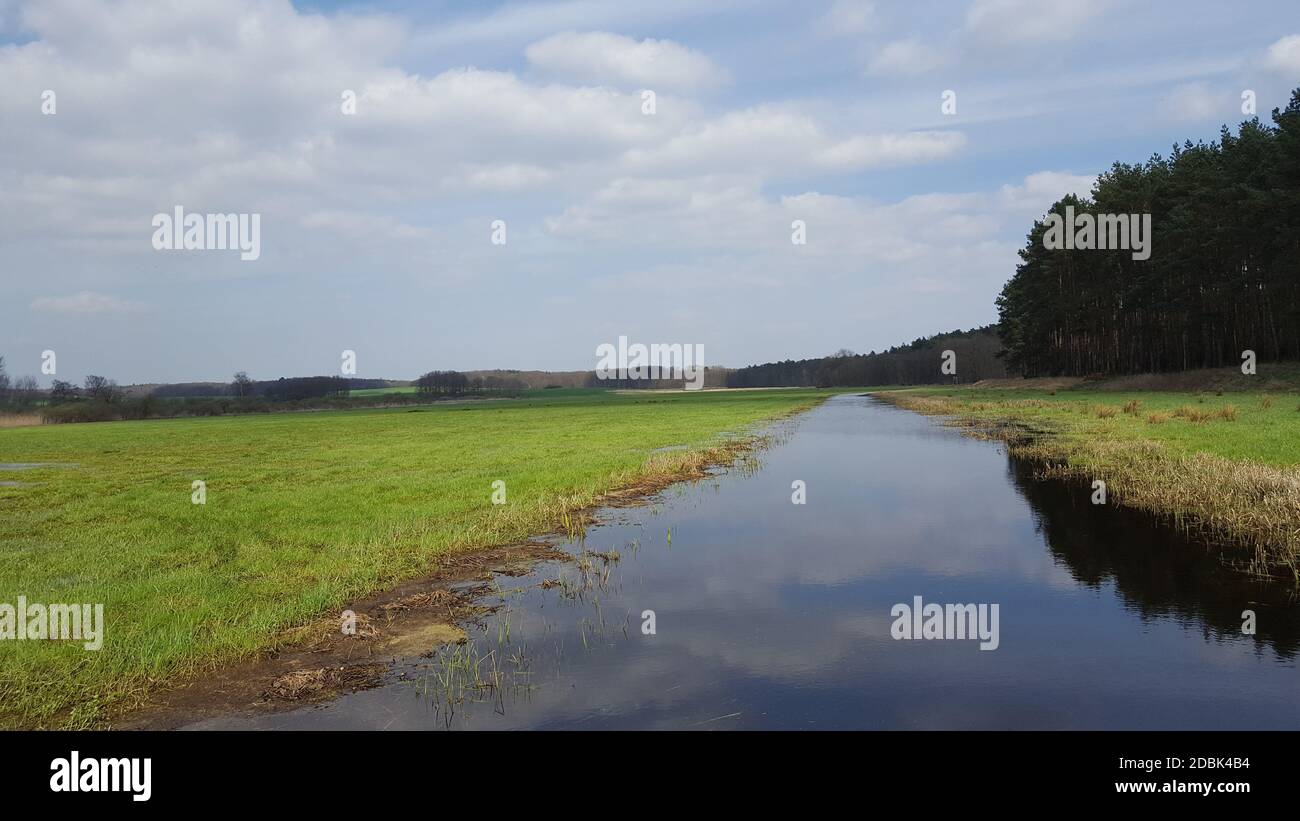 Wide meadow with water canal Stock Photo - Alamy