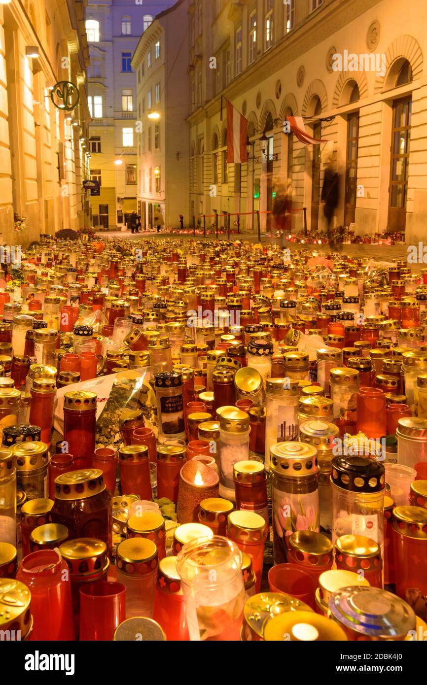 Wien, Vienna: candles and flowers for the terror victims of 02 ...