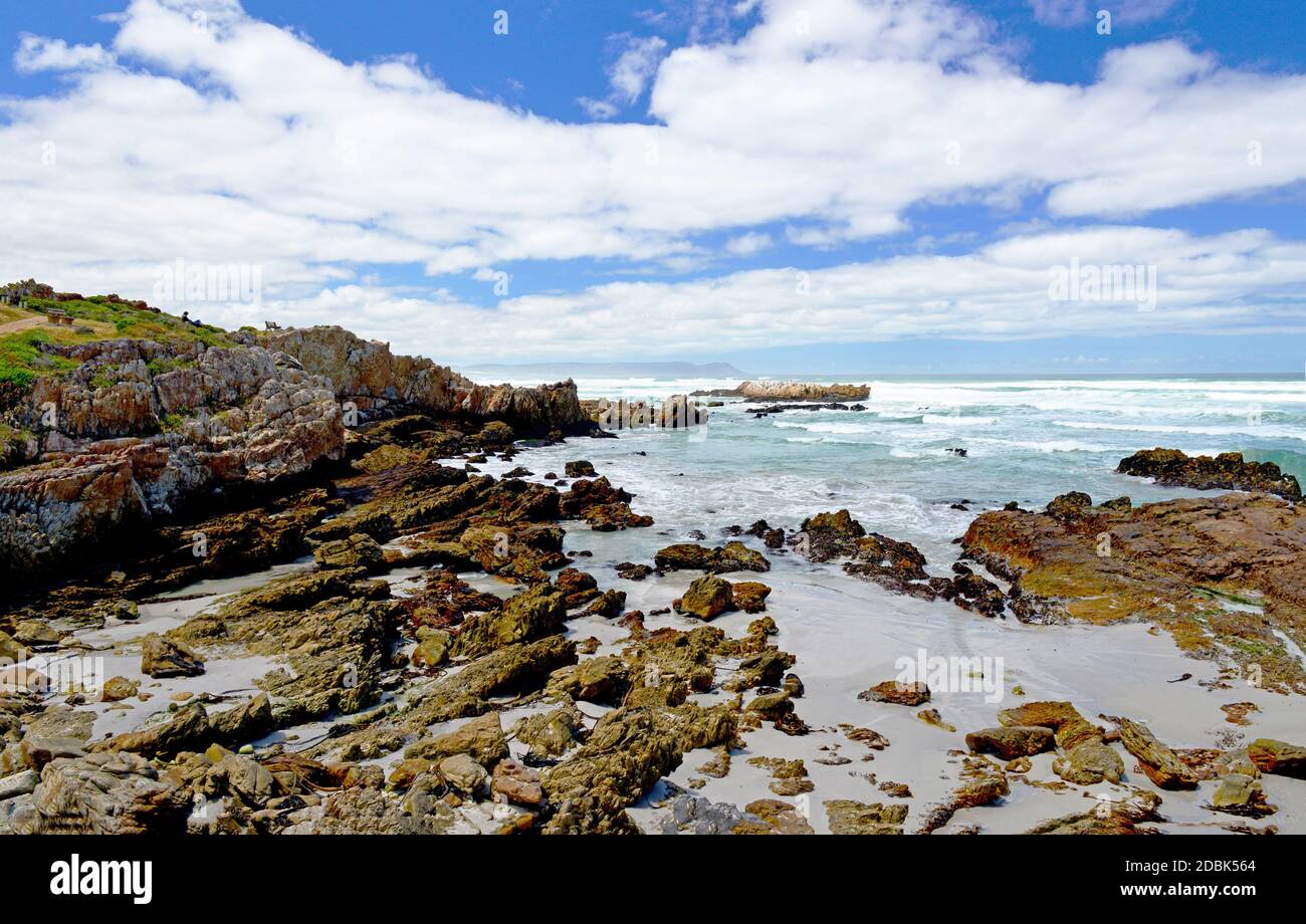The coast of Hermanus in South Africa Stock Photo - Alamy