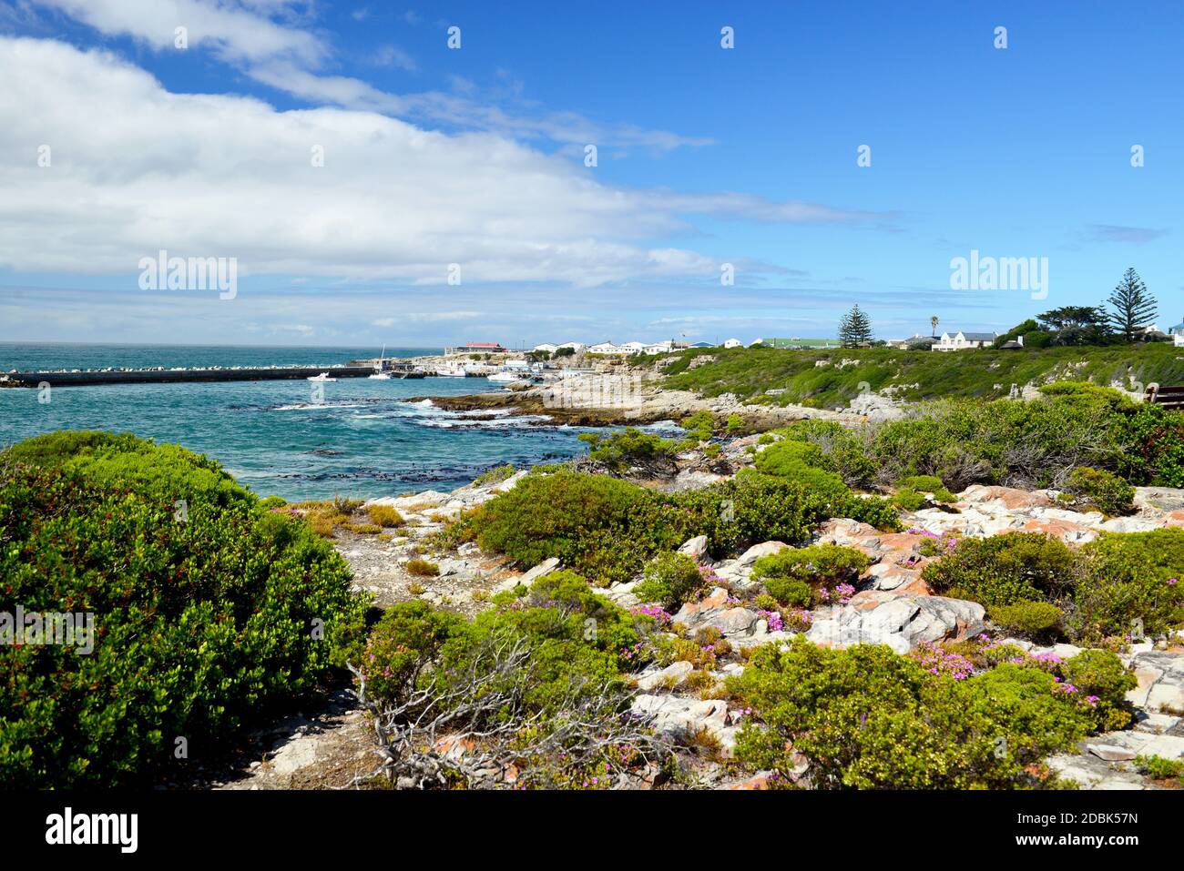 The coast of Hermanus in South Africa Stock Photo - Alamy