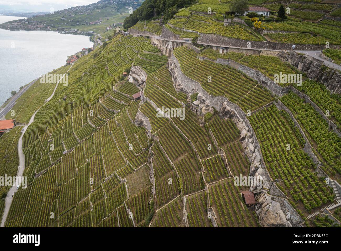 Aerial view of land, Puidoux, Vaud, Switzerland Stock Photo - Alamy