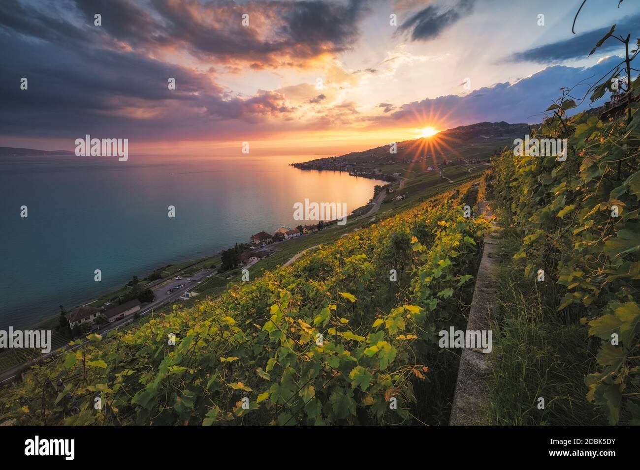Scenic landscape at sunset, Puidoux, Vaud, Switzerland Stock Photo - Alamy