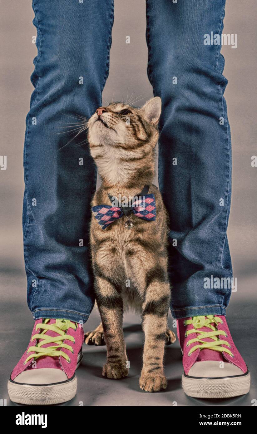 Looking between legs hi-res stock photography and images - Alamy