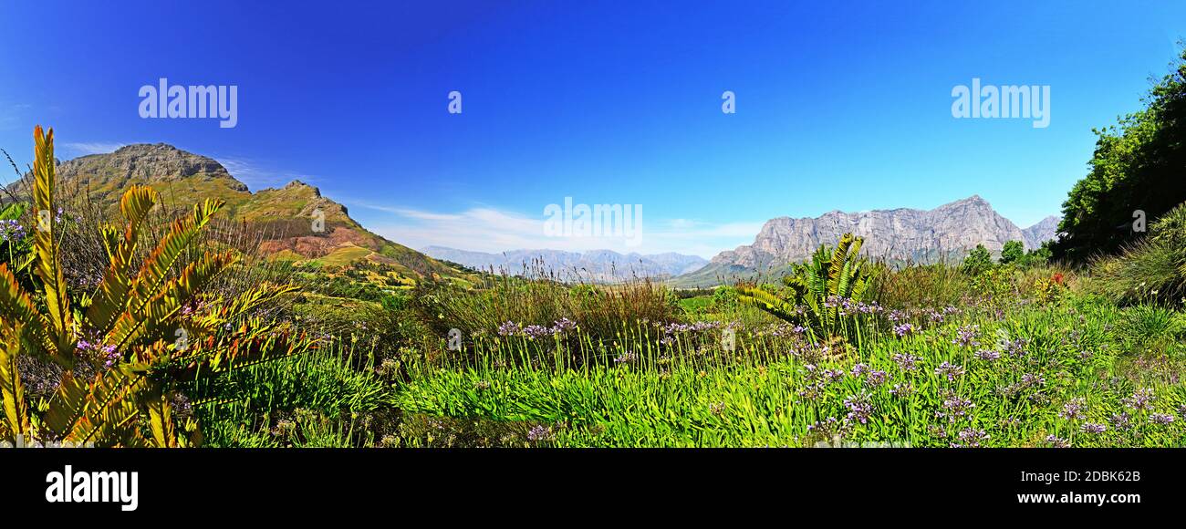 Fantastic landscape around Stellenbosch in the Cape wine country Stock ...