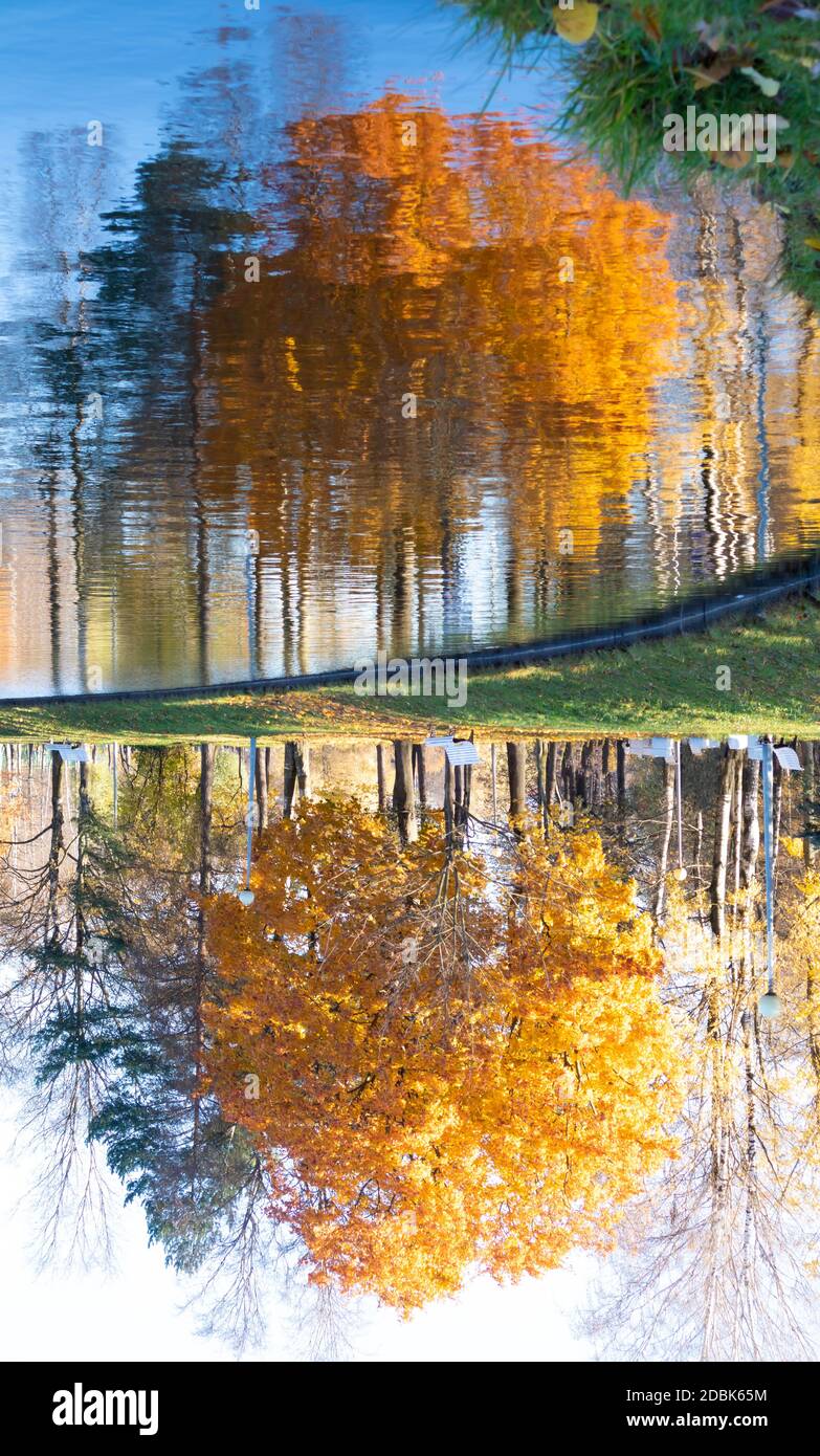 Inverted maple leaf hi-res stock photography and images - Alamy