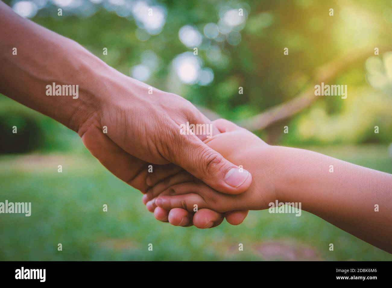 Adult and child shaking hands isolated on a green background Stock ...