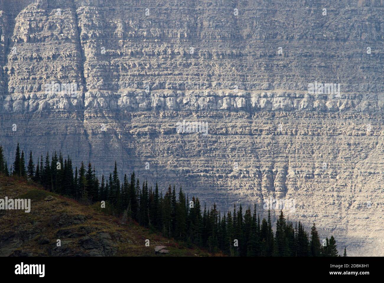 Cliff wall, Many Glacier region, Glacier National Park, Montana, USA ...