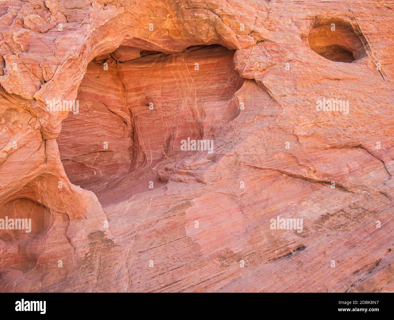 A reddish rock with fine lines and strange white scars Stock Photo - Alamy